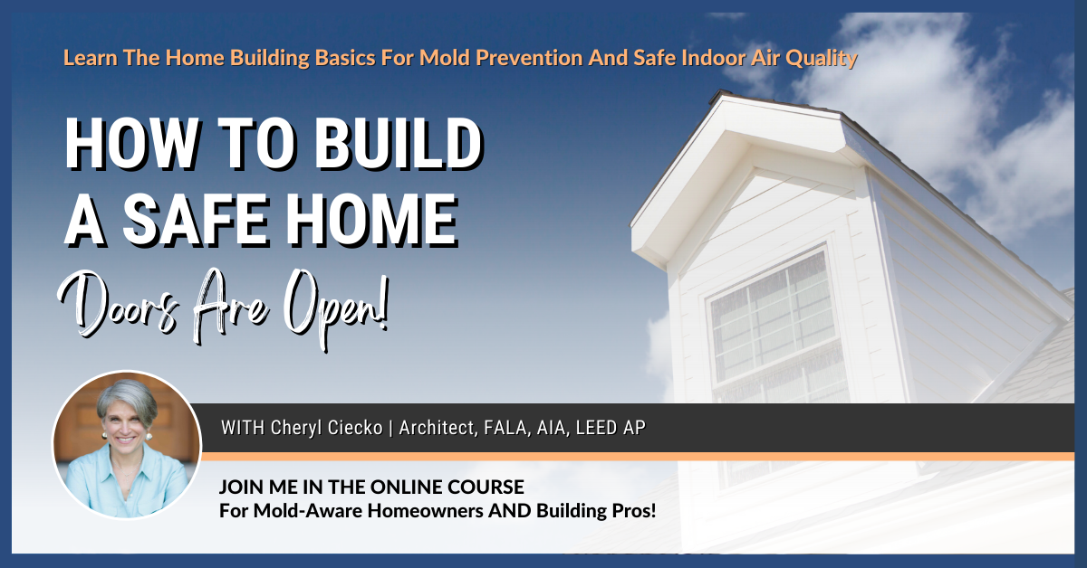 How To Build A Mold Safe Home For Homeowners and Building Pros